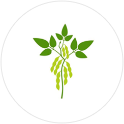 Crops-DB: a comprehensive Crops phenotype and gene database